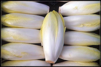 Health Benefits of Endive - Dr. Don Kim