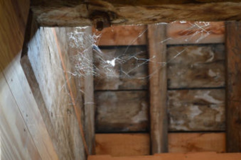 How To Clean Your Cobwebs - Dr. Don Kim